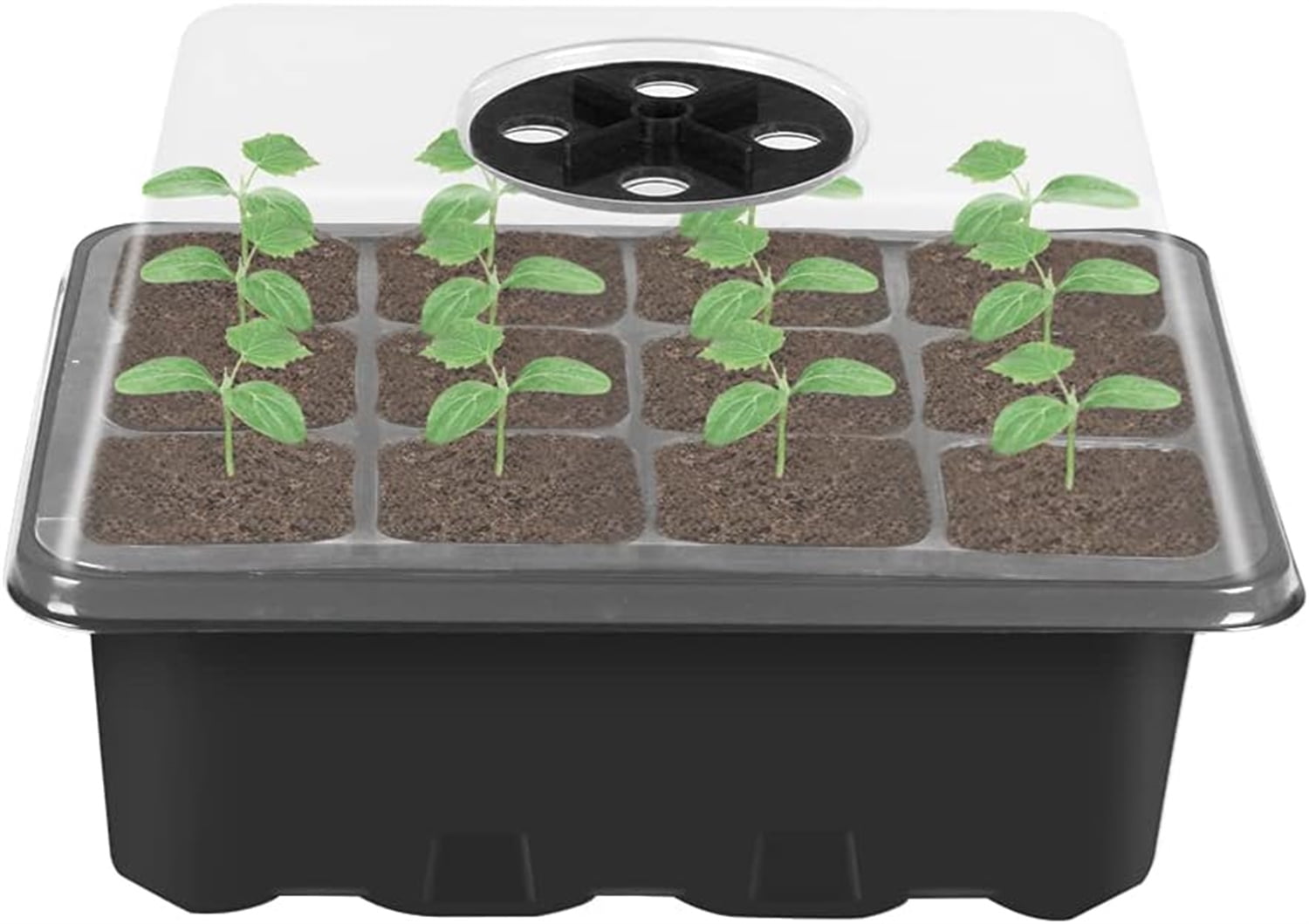 3 Pcs Mini Seedling Propagator,Reusable Garden Supplies,Plant ...