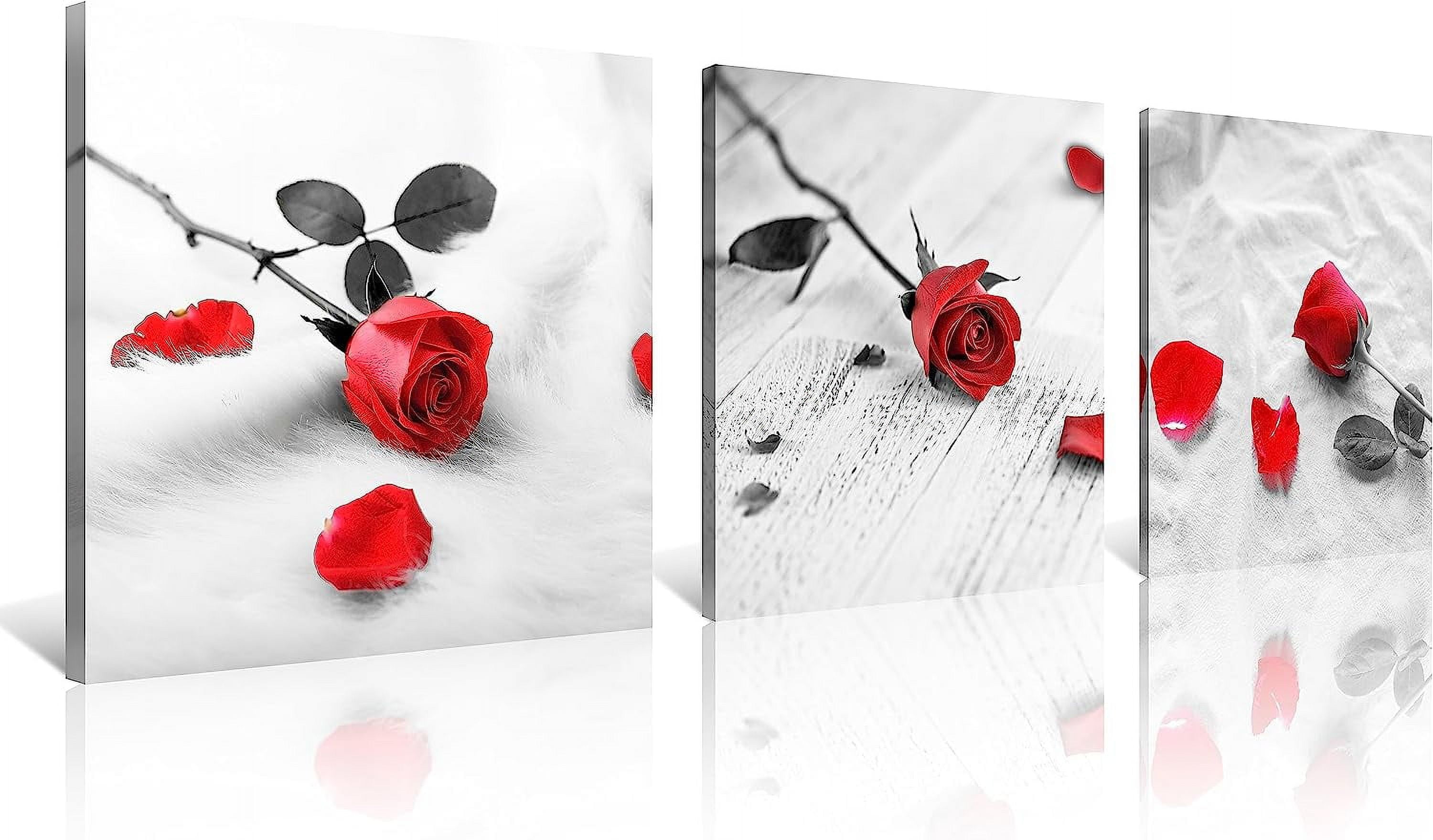 3 Pcs Modern Canvas Painting Black and White Red Rose Canvas Art ...
