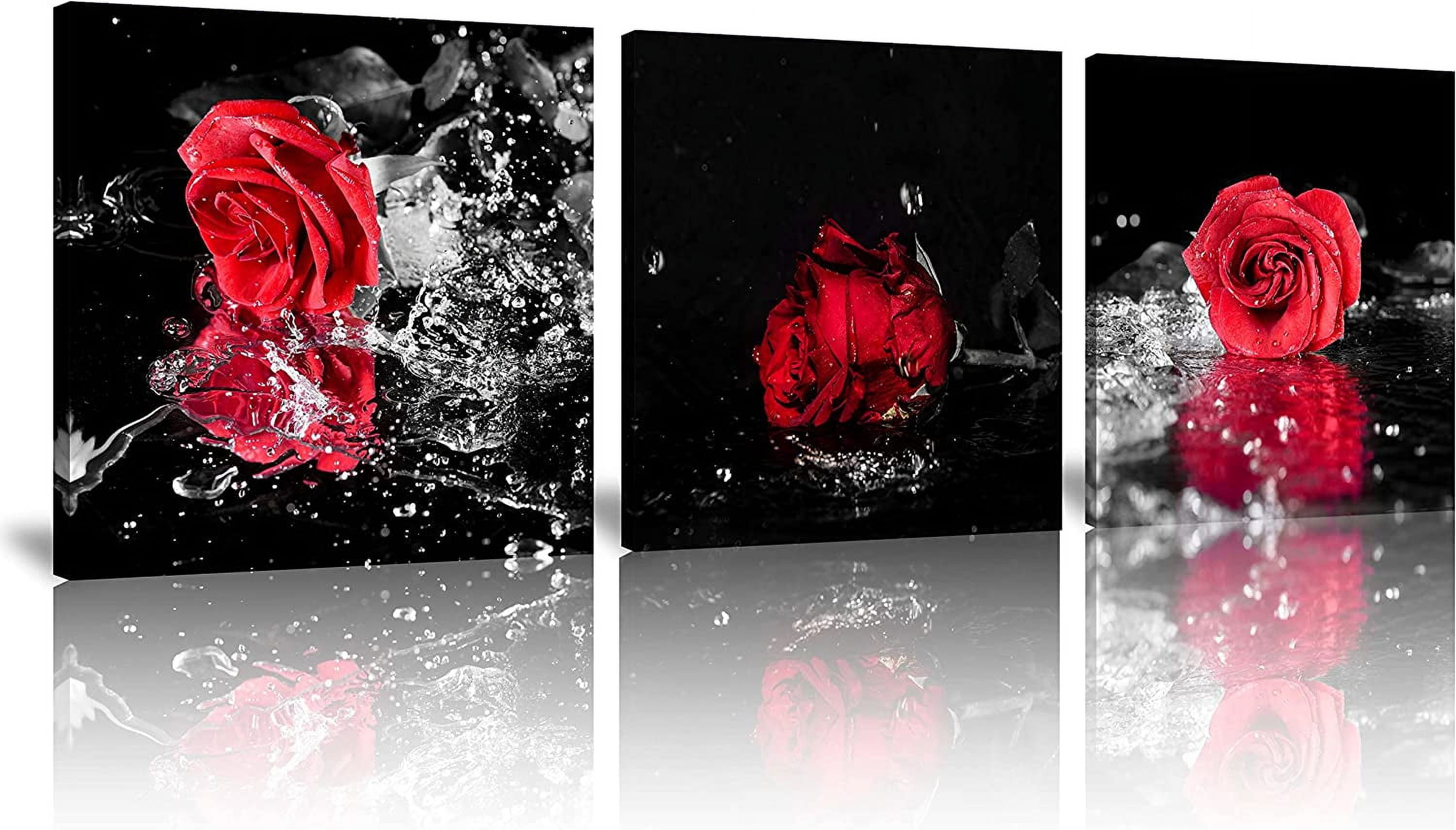 3 Pcs Modern Canvas Painting Black and White Red Rose Canvas Art Rose ...