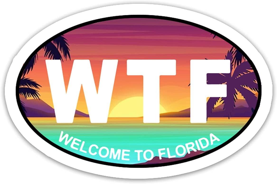3 Pcs/Pack - WTF Welcome to Florida Sticker Funny Florida Man Sunshine ...