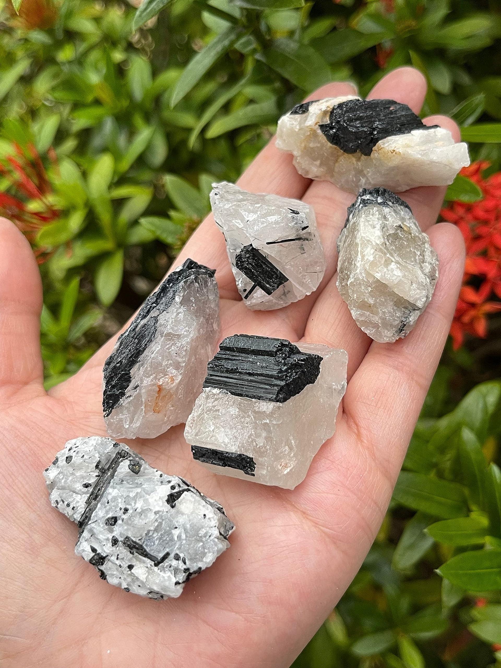 3 Pcs Raw Black Tourmaline with Quartz Crystals, Natural Black ...