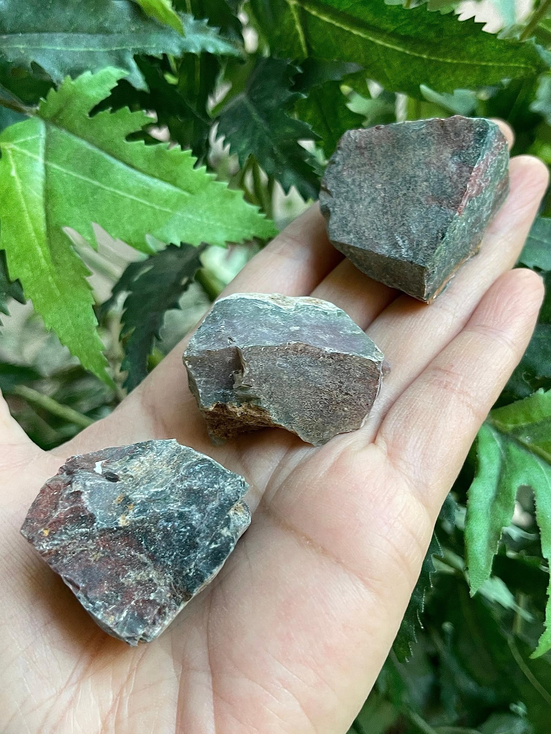 3 Pcs Raw Bloodstone Crystals, Natural Bloodstone Stone, Natural Rough ...