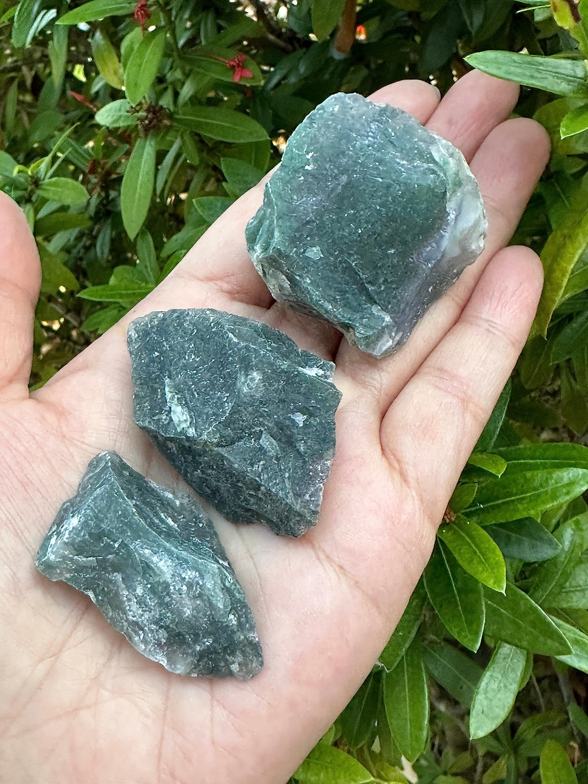 3 Pcs Raw Tree Agate Crystals, Natural Tree Agate Stone, Natural Rough ...