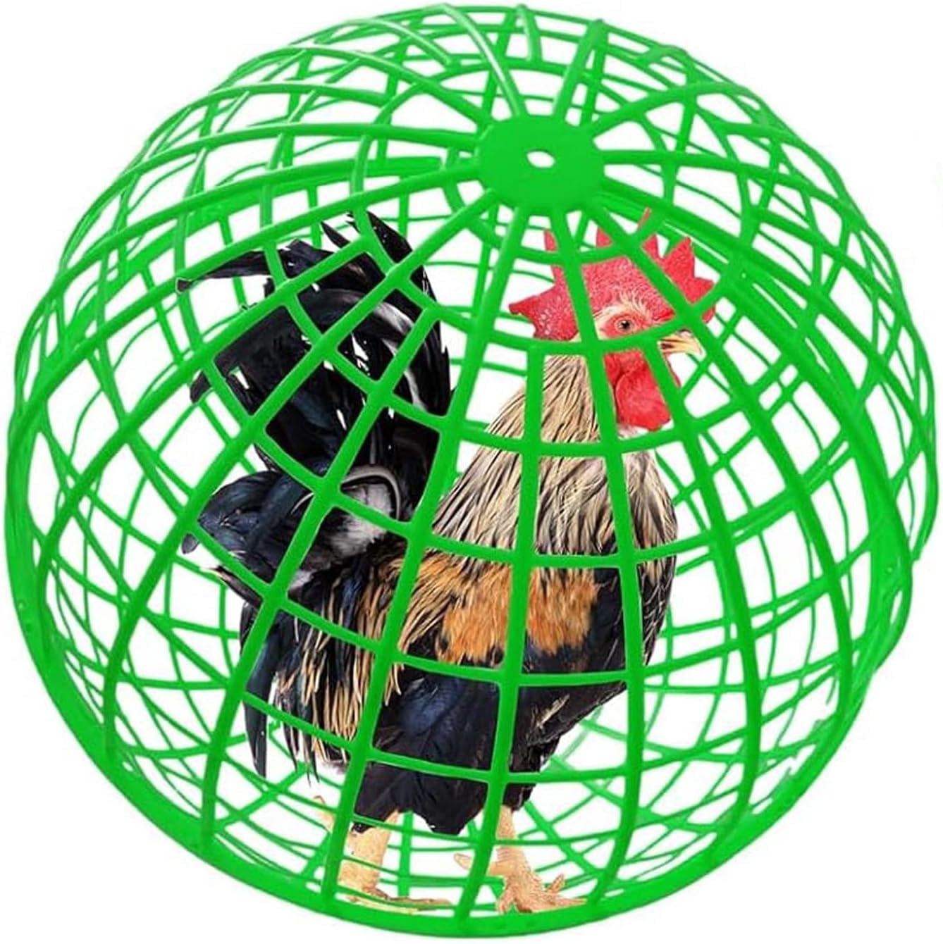 3 Pcs Rolling Chicken Coop Balls, Multi-Size Plastic Portable Round ...