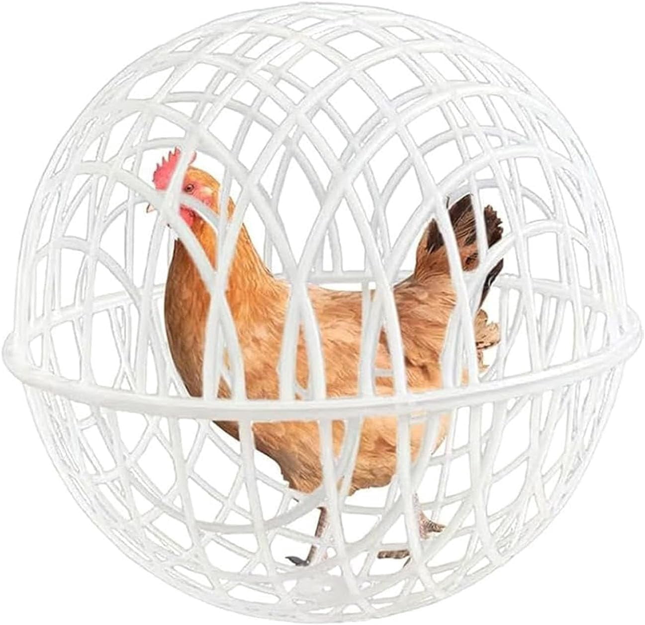 3 Pcs Rolling Chicken Coop Balls, Multi-Size Plastic Portable Round ...