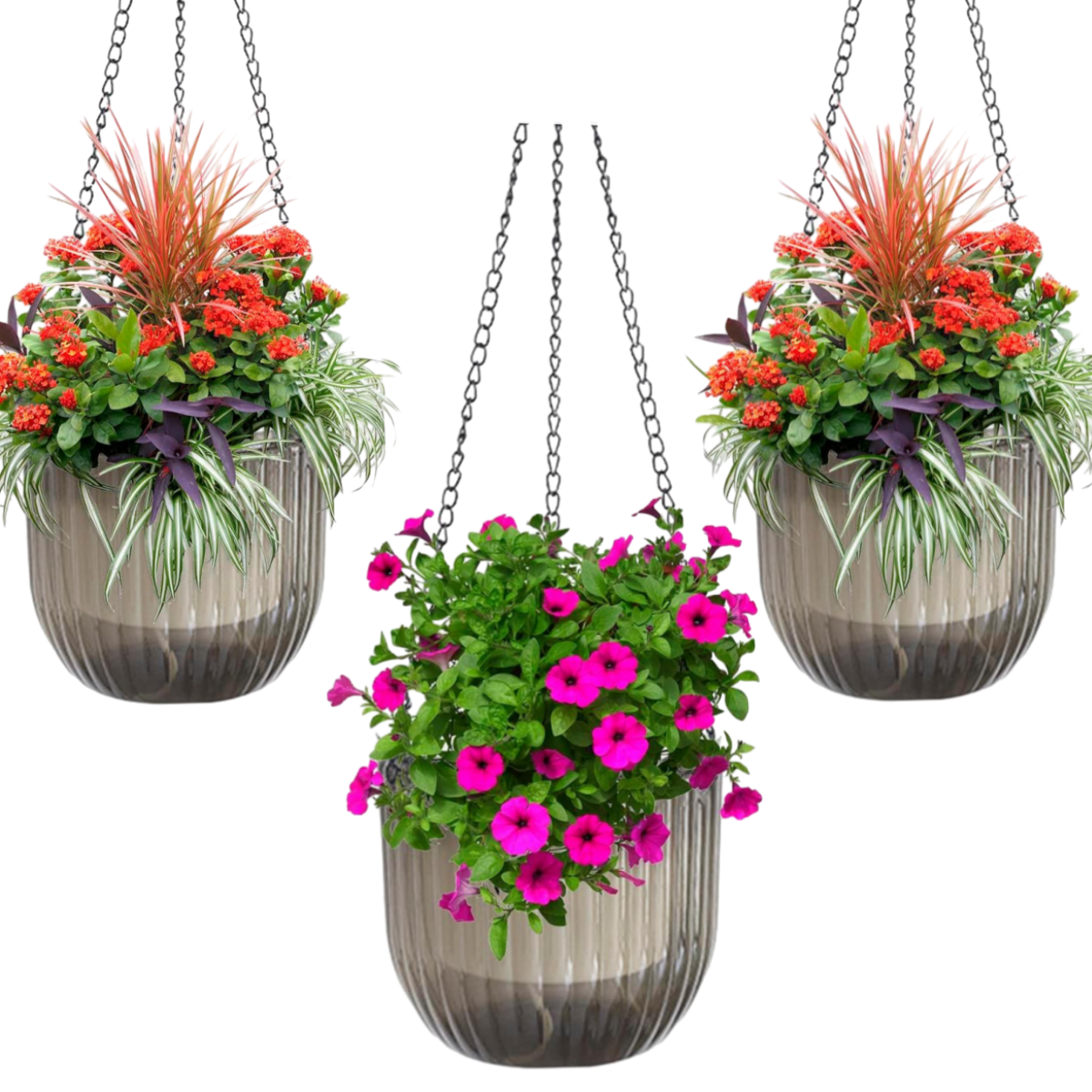 3 Pcs Self Watering Hanging Planters, Premium Indoor Hanging Flower ...
