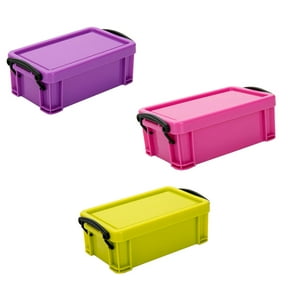 Brightroom Storage Bins