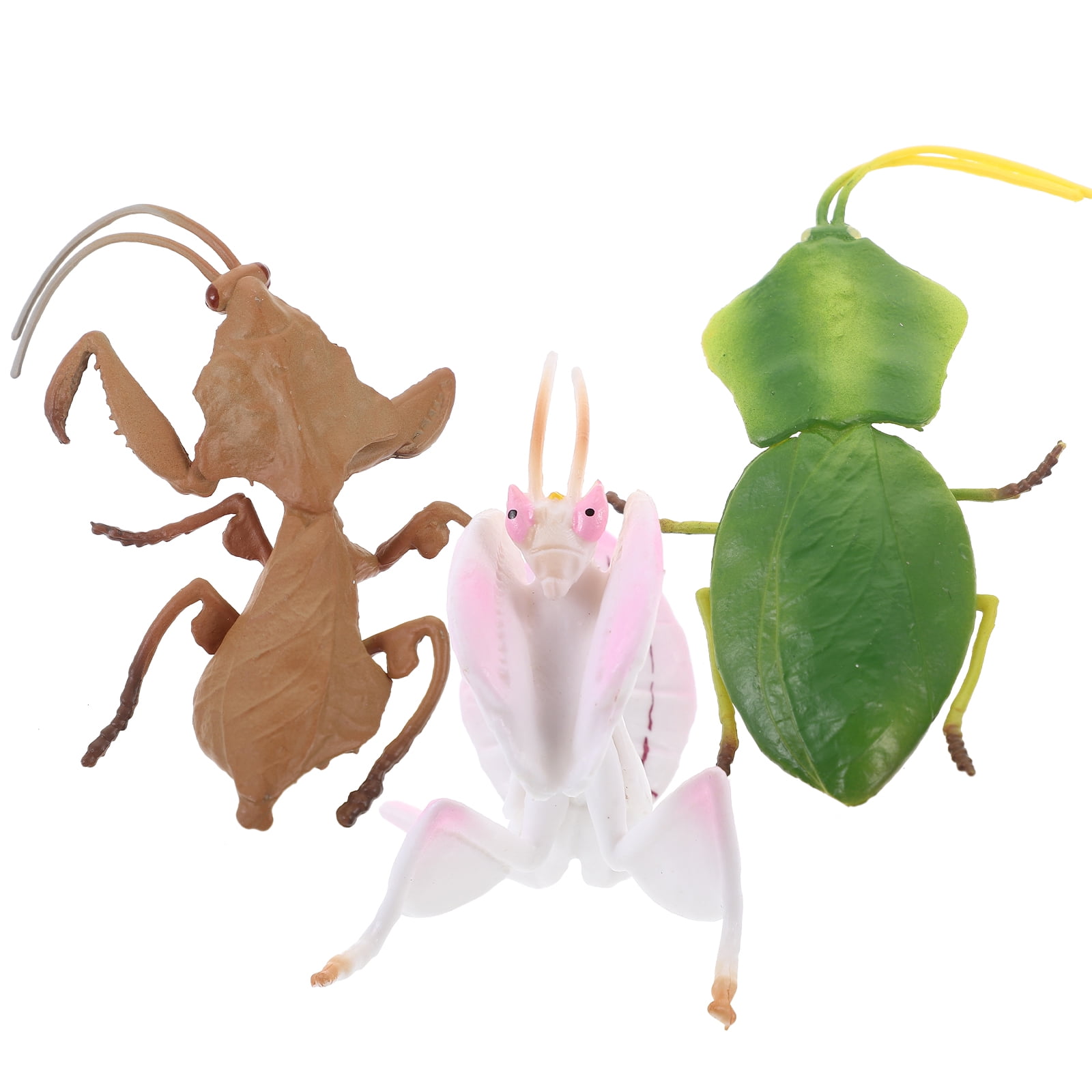 3 Pcs Toys Toy Mantis Insect Style Decoration Mantis Recognition Model ...