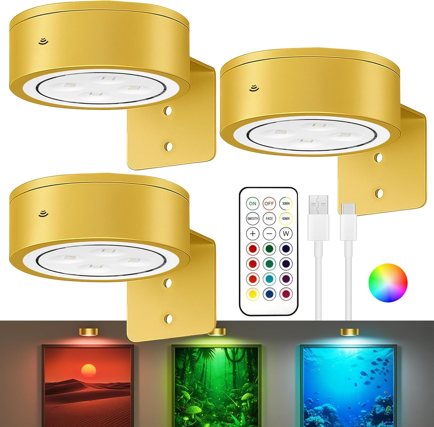 3- Picture Lights for Wall, 13 Color Changing Art Display Light with ...