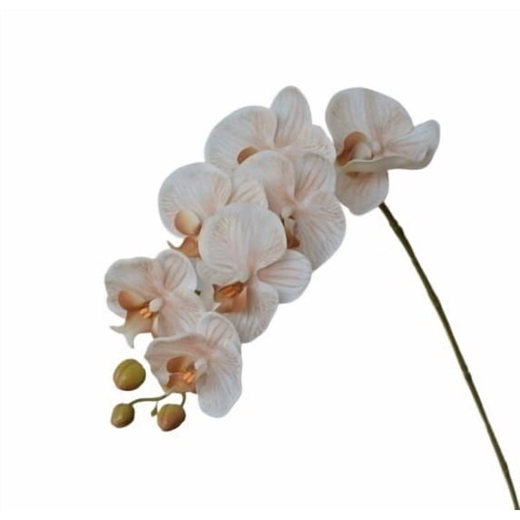 3-Piece Artificial Phalaenopsis Orchid Set - Elegant Faux Flowers for ...