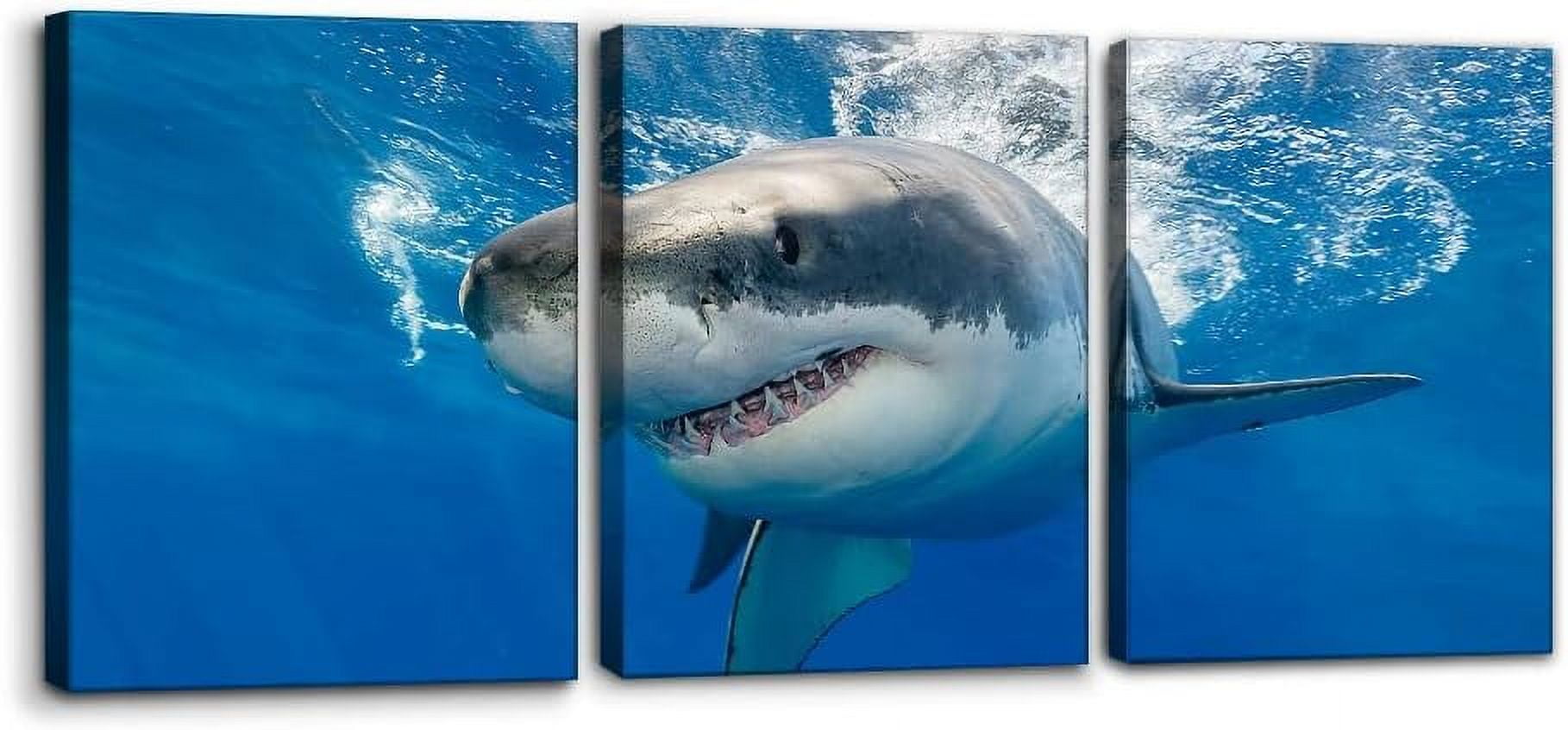 3 Piece Blue Wall Art Painting Great White Shark Catching Fish At ...