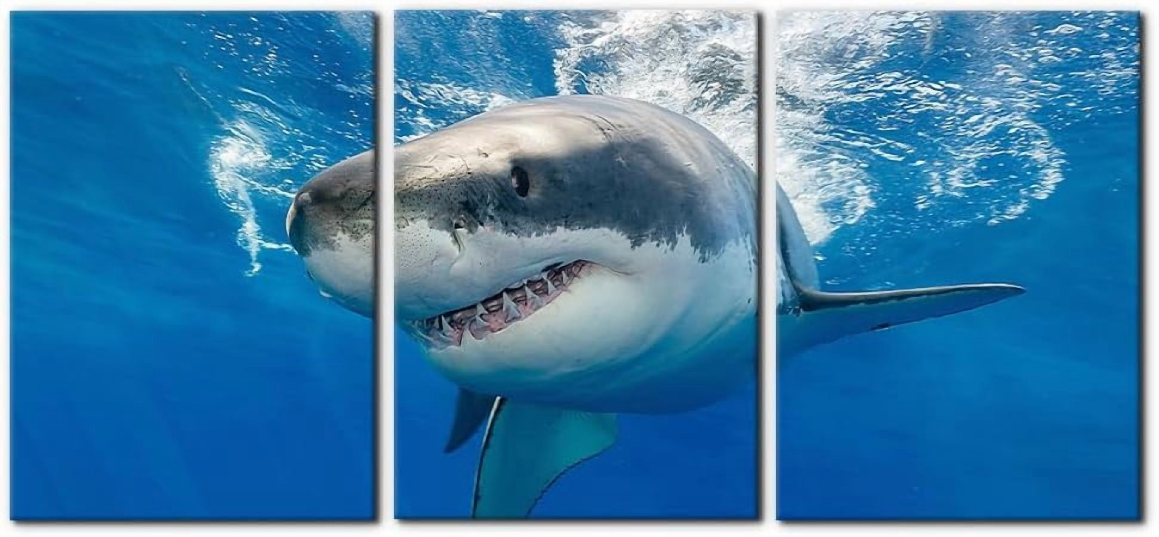 3 Piece Blue Wall Art Painting Great White Shark Catching Fish At ...