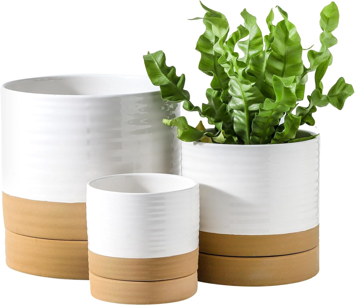 3 Piece Ceramic Plant Pots, 8/6/4.6 Inch, Indoor Pot for Plants with ...