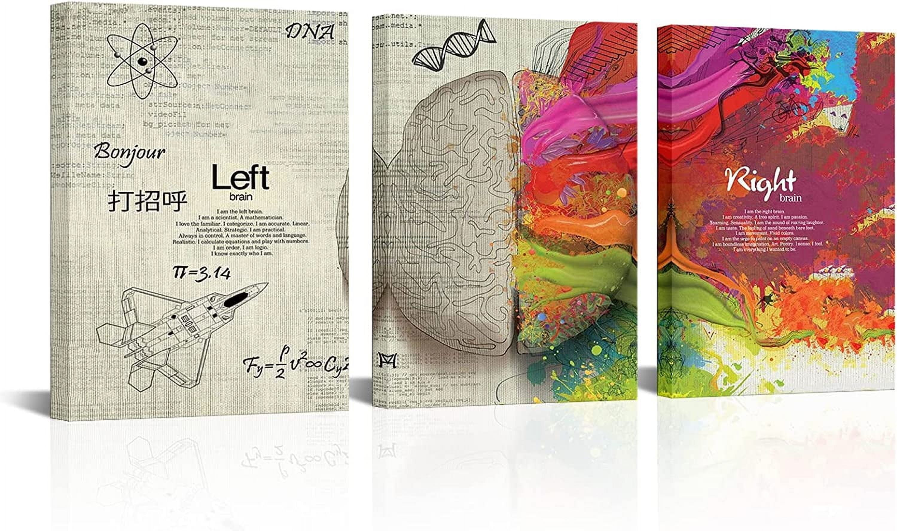 3 Piece Left Brain Right Brain Wall Art Motivational Brain Science ...