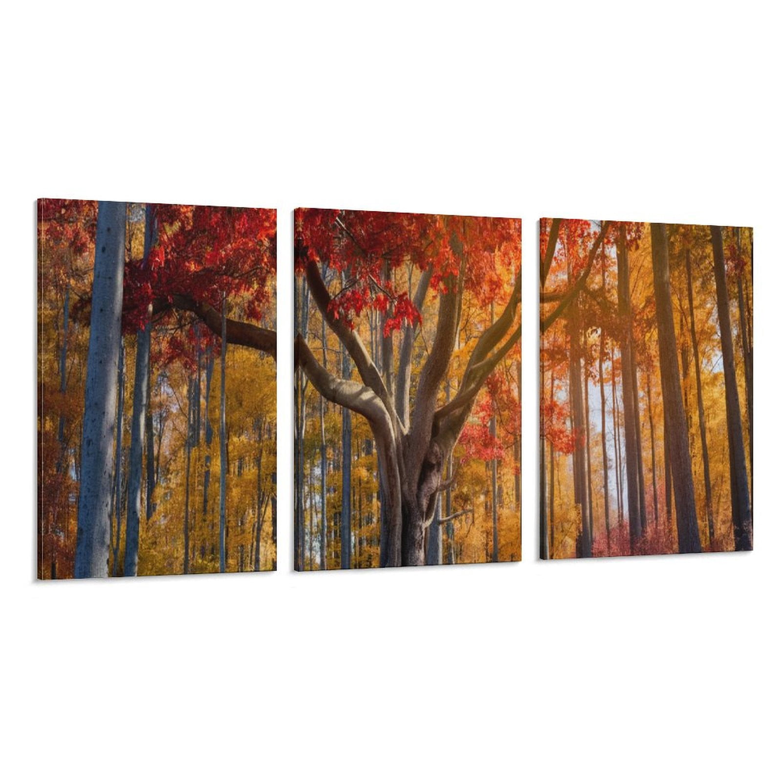 3 Piece Modern Canvas Wall Art Prints -Blue Sky & Red Maple Forest ...