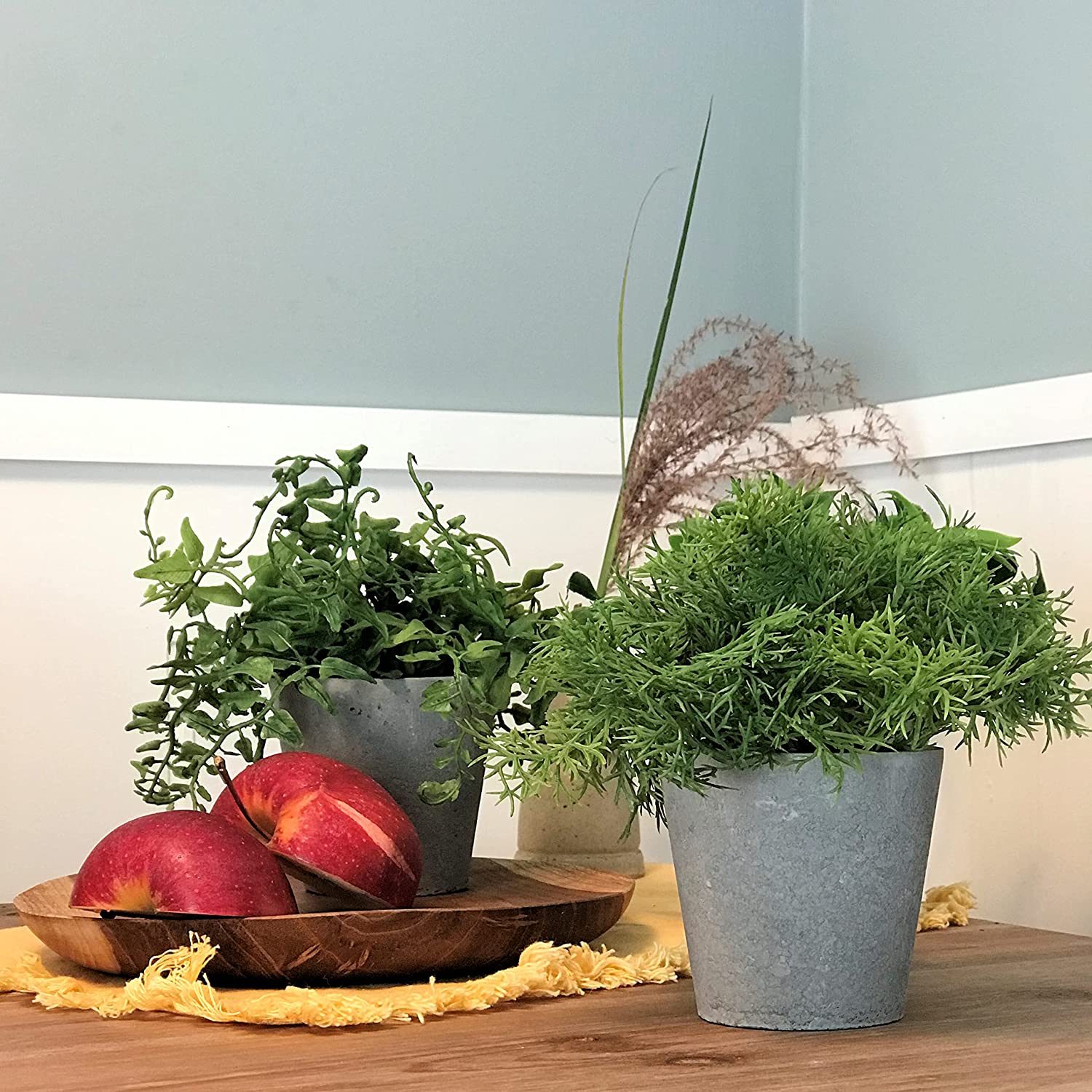 3 Piece Realistic Potted Plant Set, Curly Green Stems, Waxy Surface ...