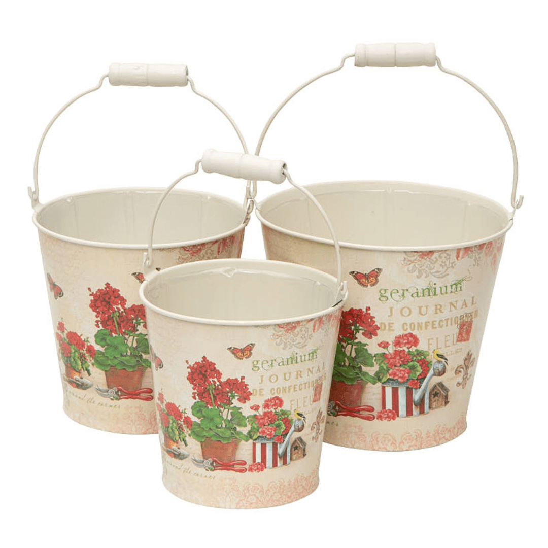 3 Piece Red Geranium Print Tin Bucket Planter Set - For Spring and ...