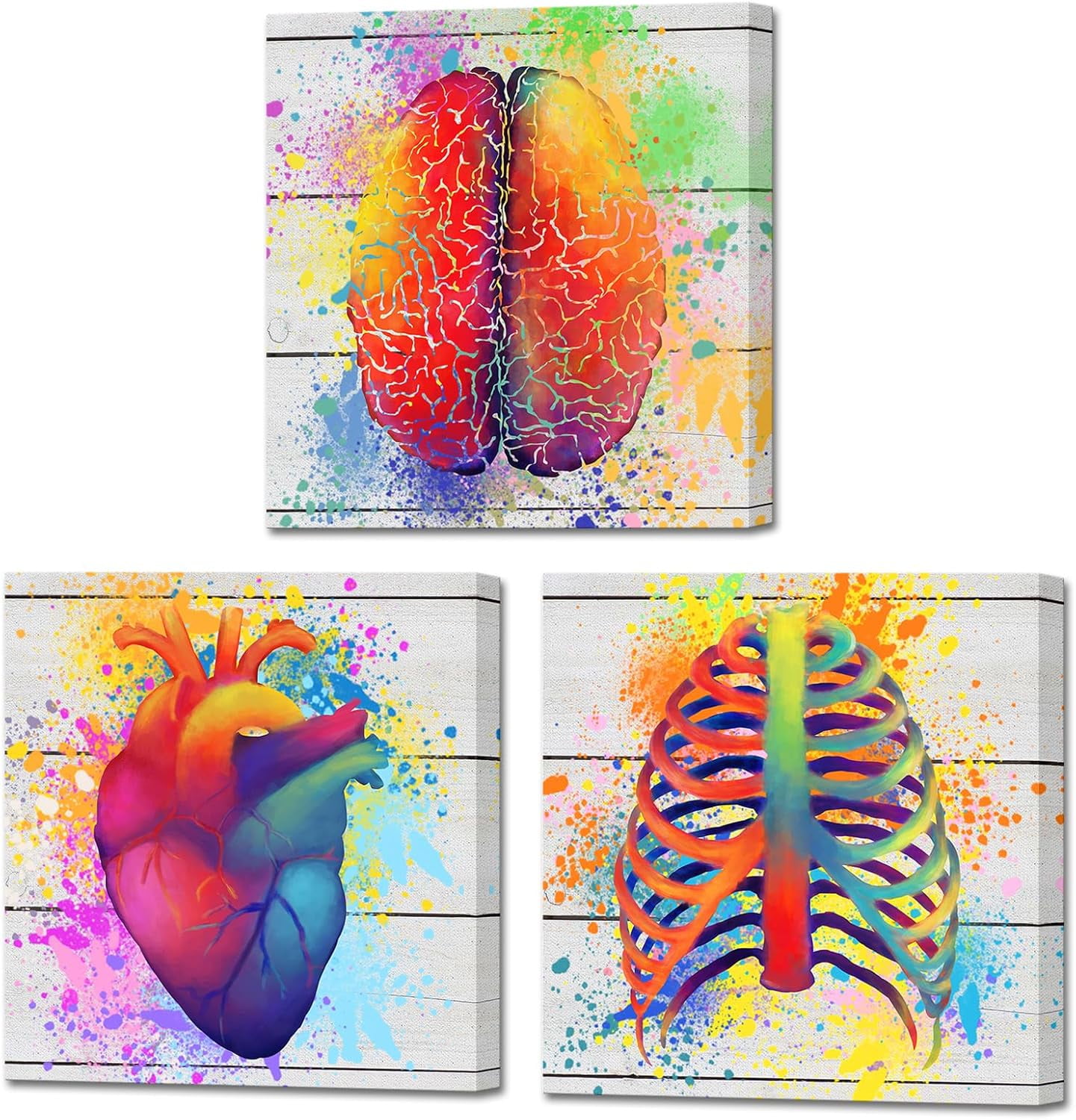 3 Pieces Anatomical Canvas Wall Art Abstract Human Brain Rib Cage Heart ...