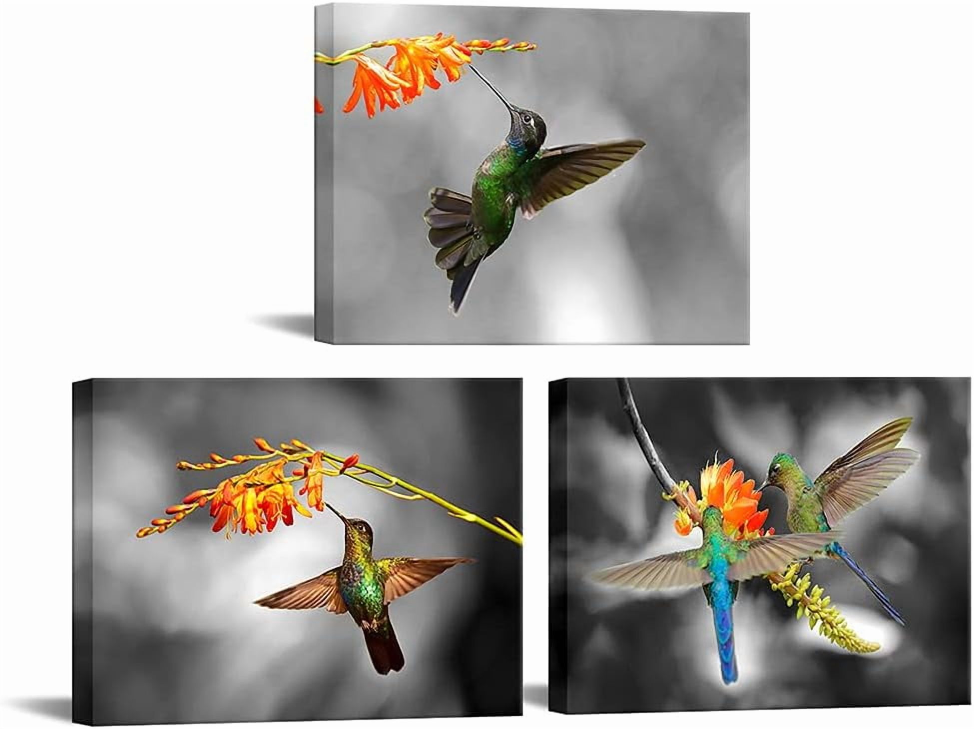 3 Pieces Canvas Wall Hummingbird with Flowers Painting Black and White ...