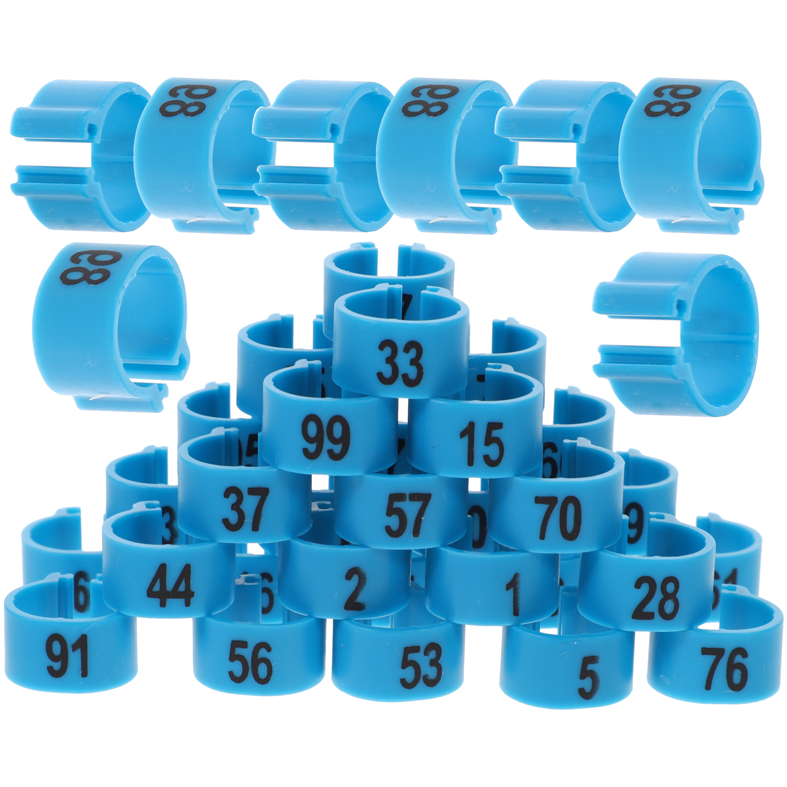 3 Pieces Chicken Thighs Pigeon Anklet Parakeet Leg Bands Bird Labels ...