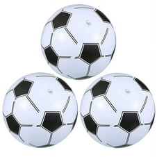 Big Inflatable Ball You Get Inside