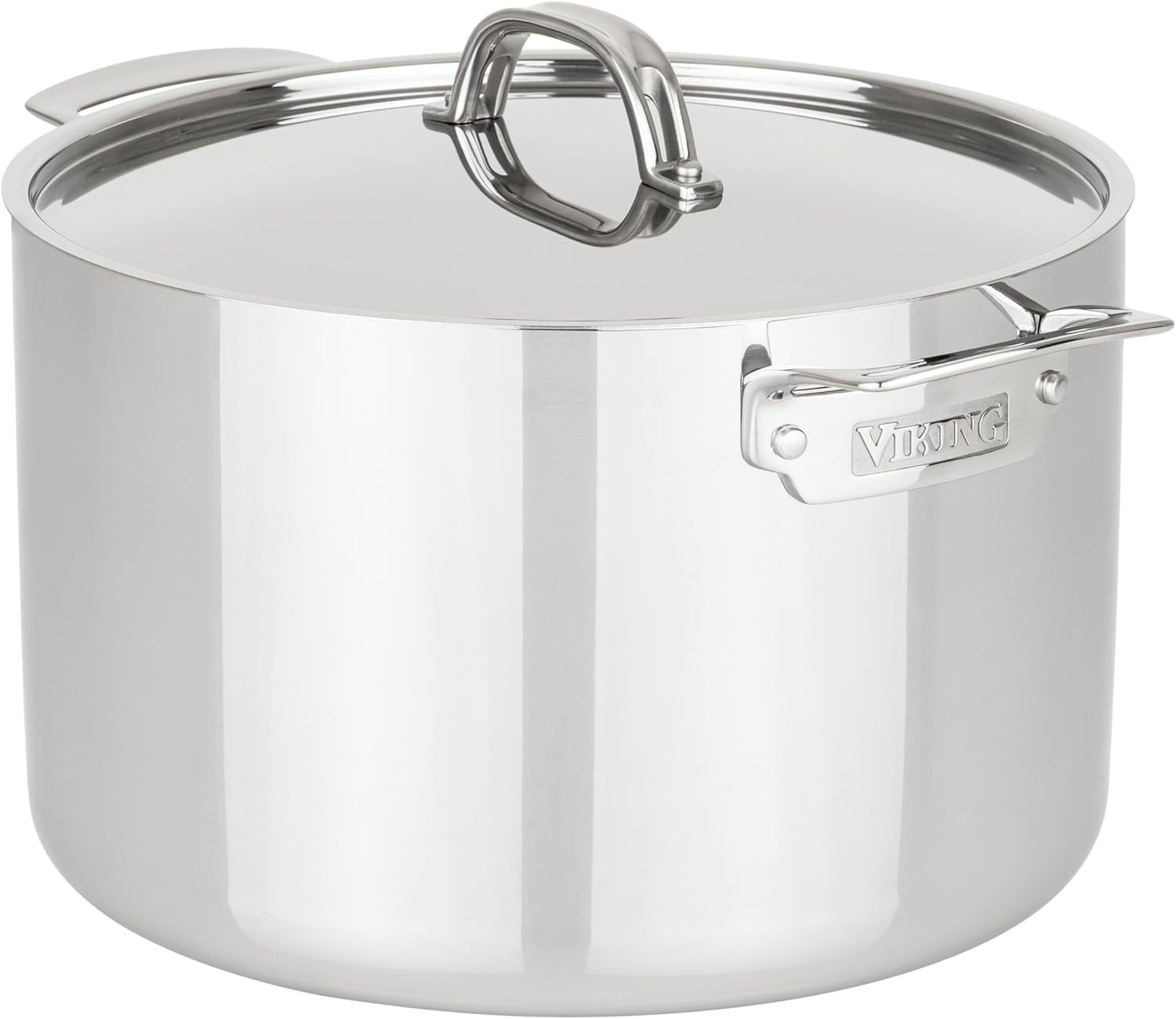 3-Ply Stainless Steel Stock Pot, 12 Quart Soup Cooking Pot with Lid ...