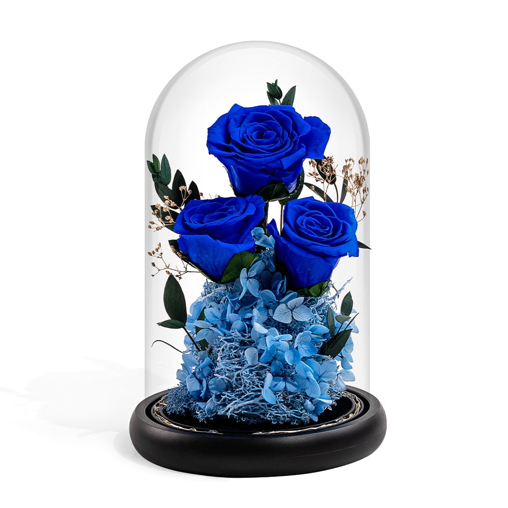 3 Preserved roses in dome ,Real Forever flowers rose , Eternal rose ...