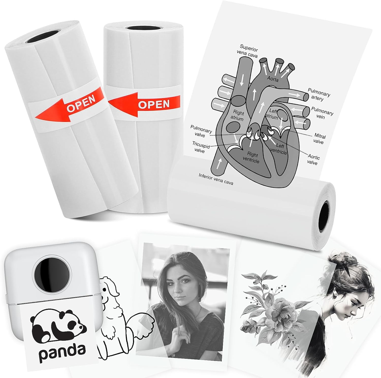 3 Rolls Mini Printer Paper,Self-adhesive Transparent Paper 5.7 x 2.5cm ...