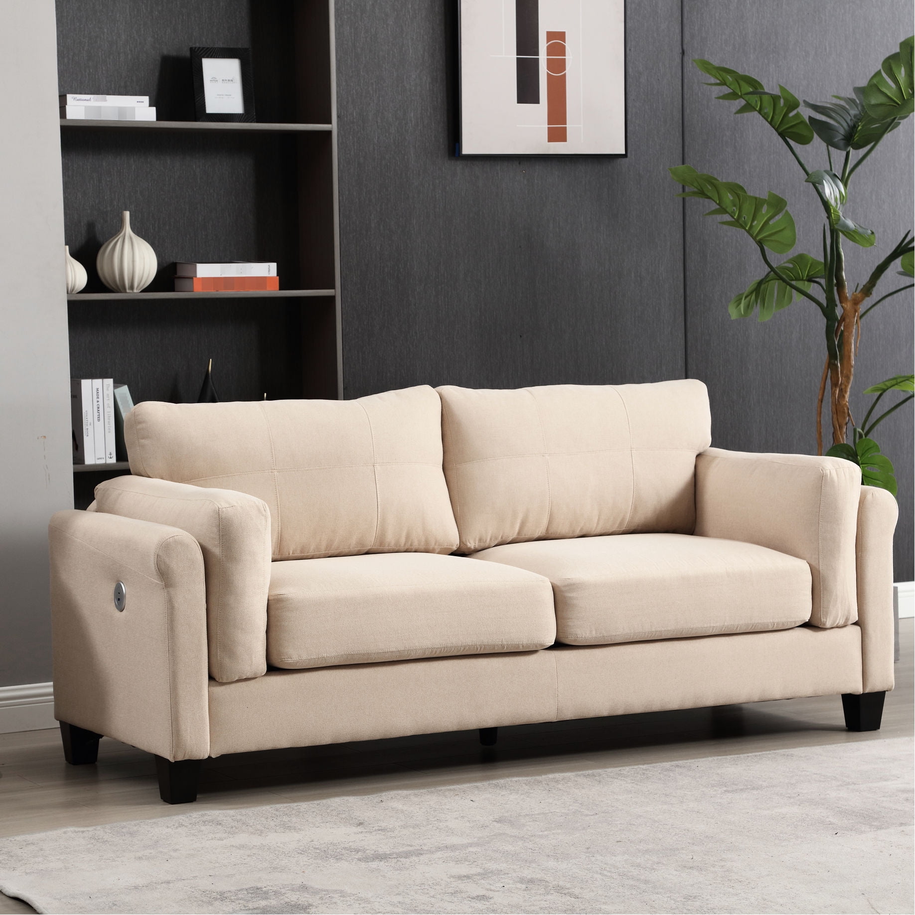 3-Seat Modern Sofa | Spacious for Living Room, Daybed Function | High ...