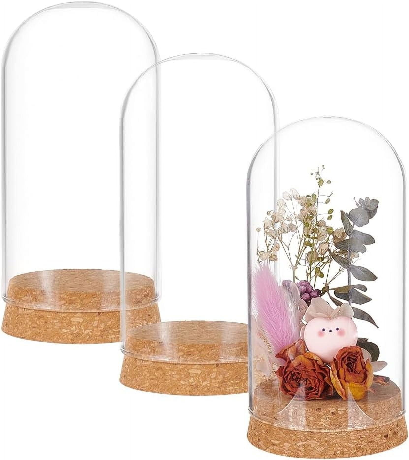 3 Set Dome Display Glass Jar with Cork 65x133mm Bell Cloche Glass ...