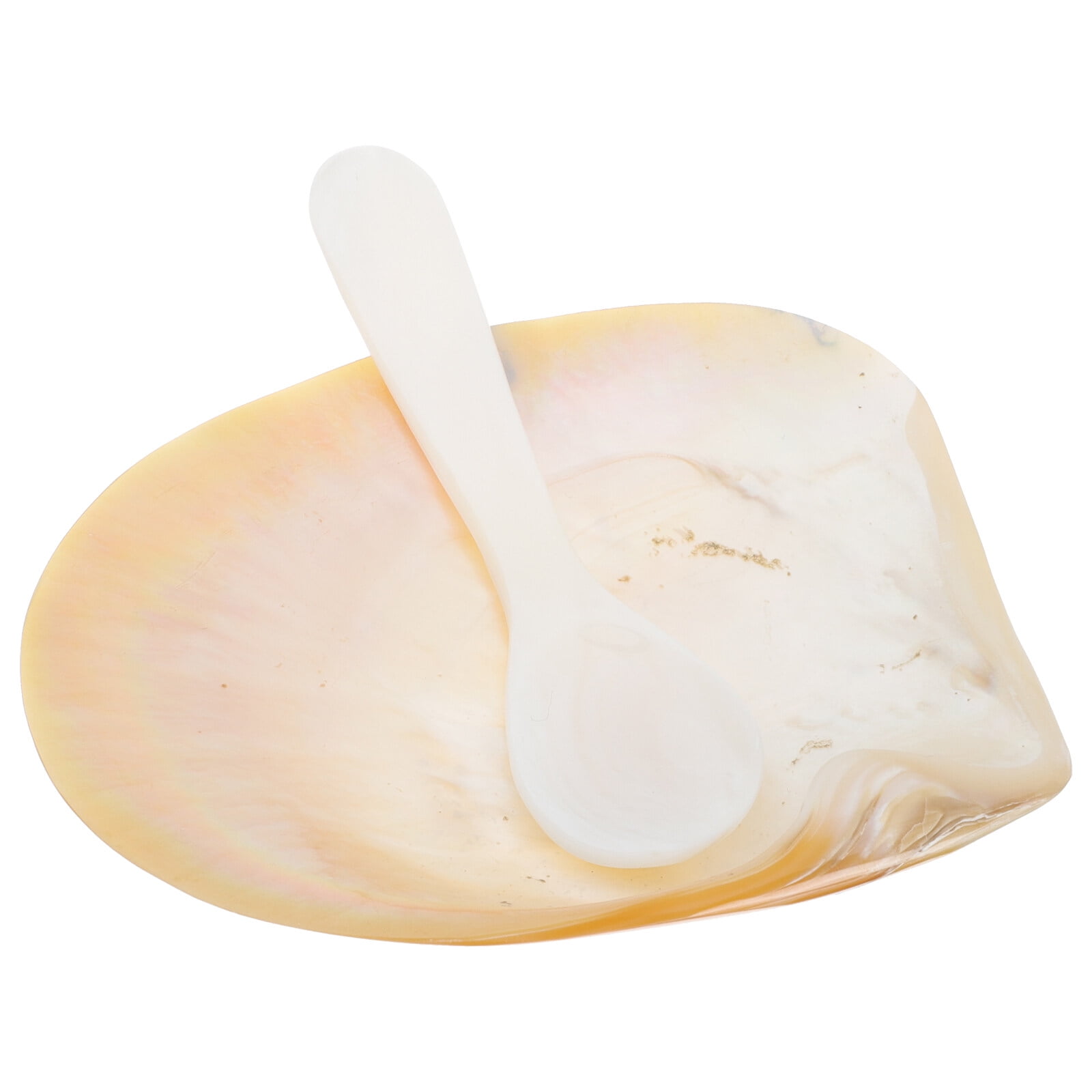 3 Sets Caviar Dish Home Decor Appetizers Aquarium Shell Serving Desktop ...