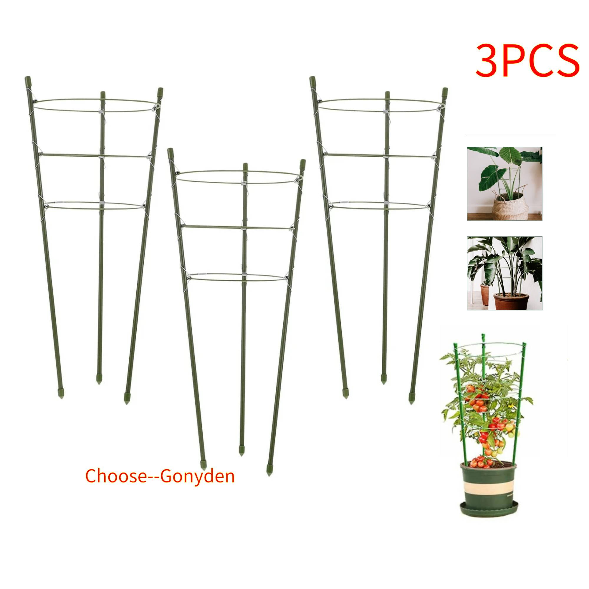 3 Sets of Tomato Stakes, Small Indoor Vegetable Vine Climbing Garden ...