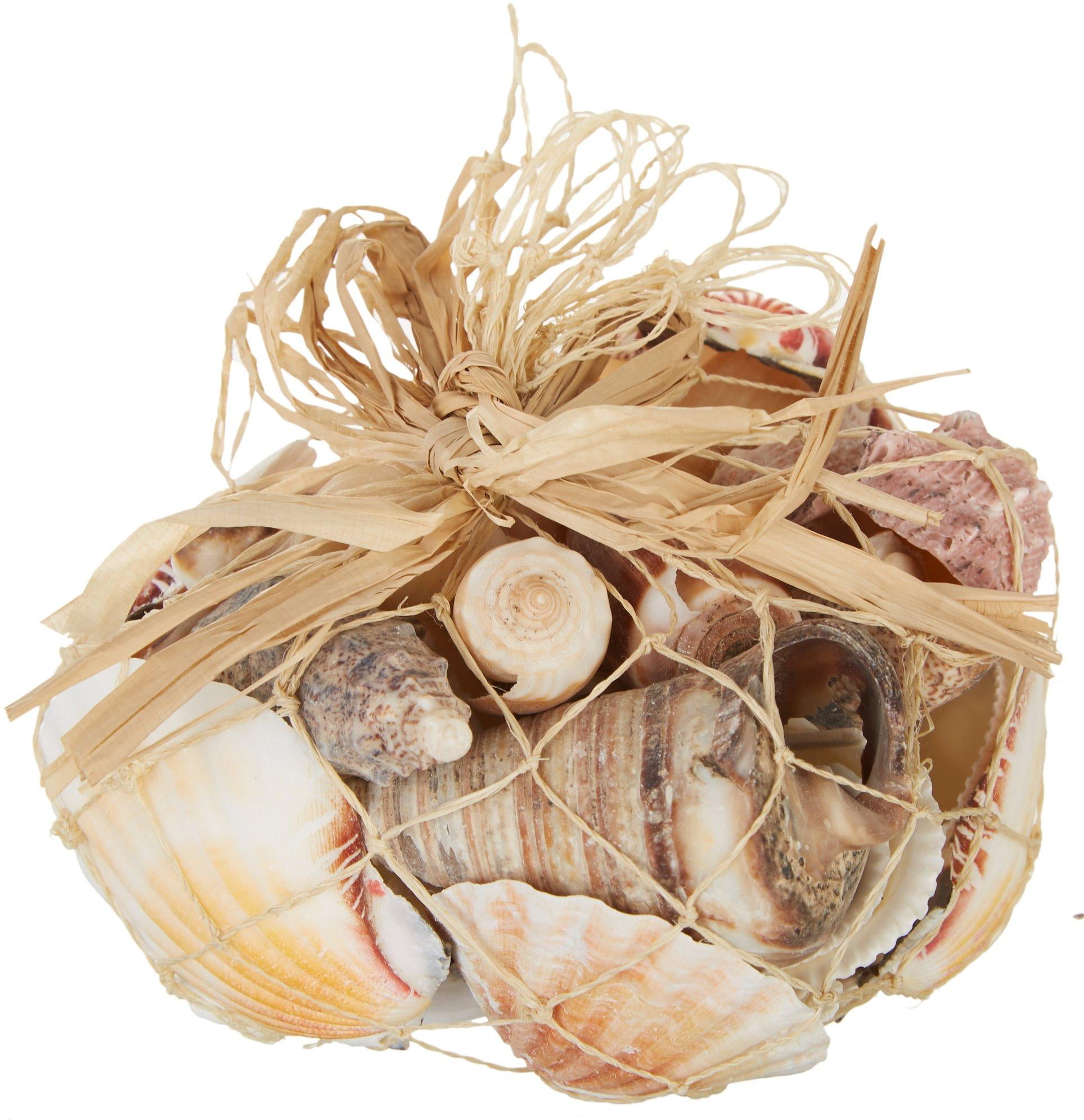 3 Shells Packs with Abaca Nets 350 gms (Set of 3) - Walmart.com