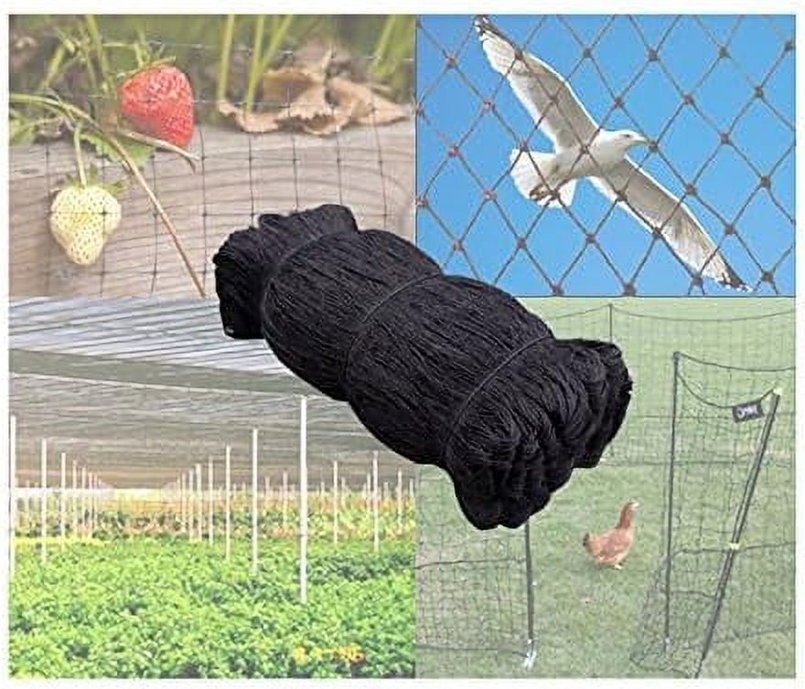 3 Size, Strong Anti Bird Netting Net Aviary Game Poultry Bird, 2"x 2 ...