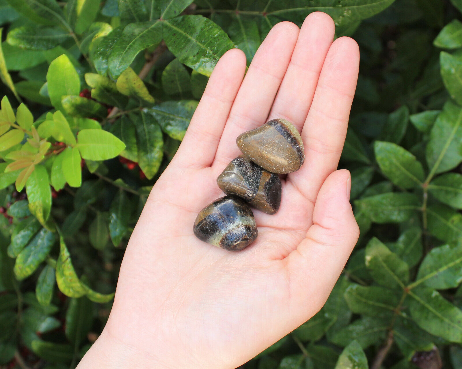 3 (Three) Pack Septarian Tumbled Stone (Septarien Crystal Reiki Chakra ...