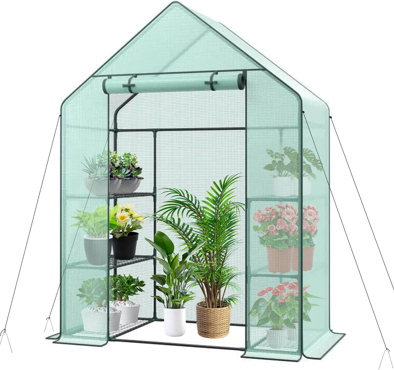 3 Tier 6 Shelves Mini Walk-in Greenhouse, 55.9 x 28.3 x 75.59 inch ...