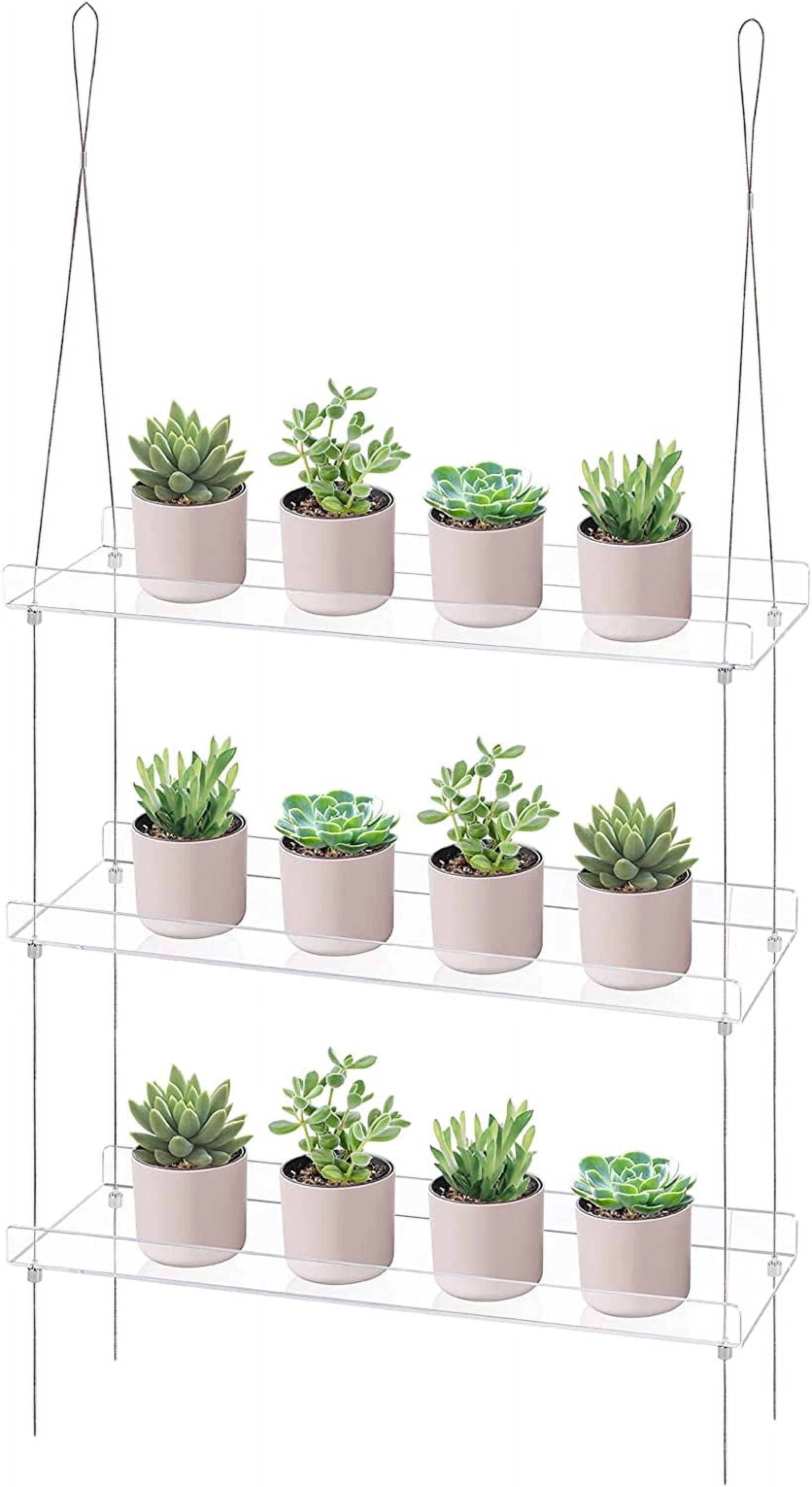 3-Tier Acrylic Window Boxes Plant Shelves for Windows, Acrylic Hanging ...