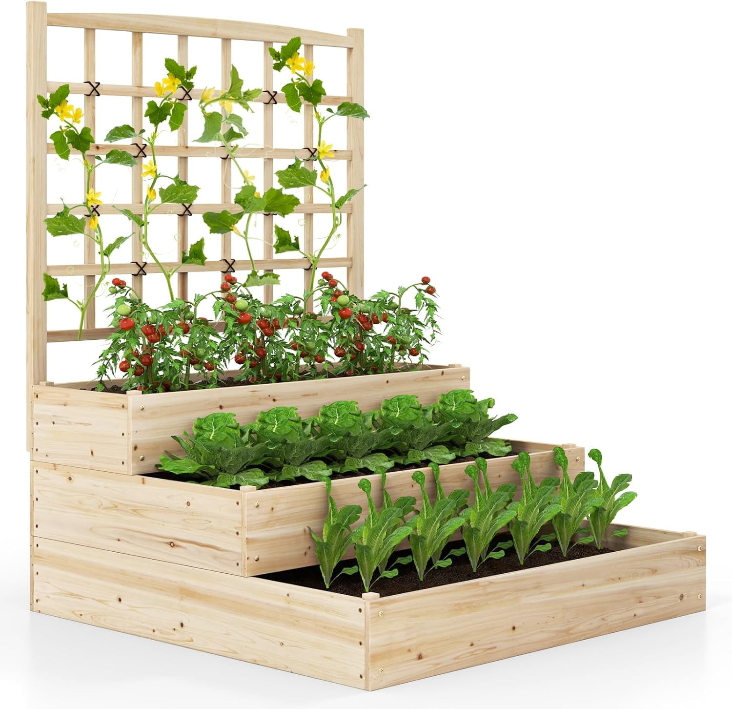 3-Tier Raised Garden Bed with Trellis, Planter Box with Lattice Trellis ...