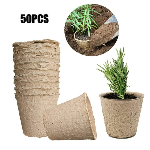 Biodegradable Cups Planting