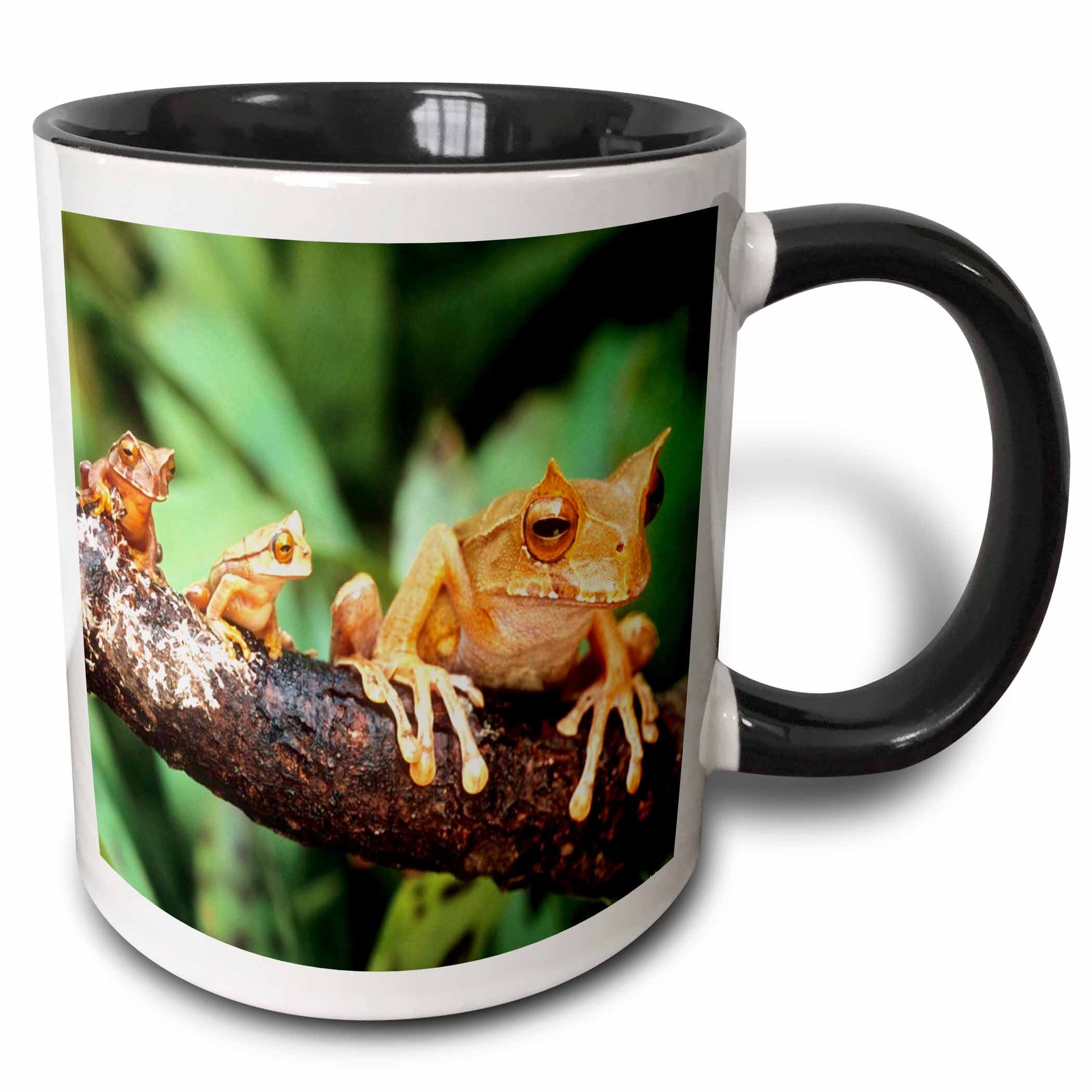 3drose, 3 Tree Frogs, 15oz Two-tone Black Mug - Walmart.com