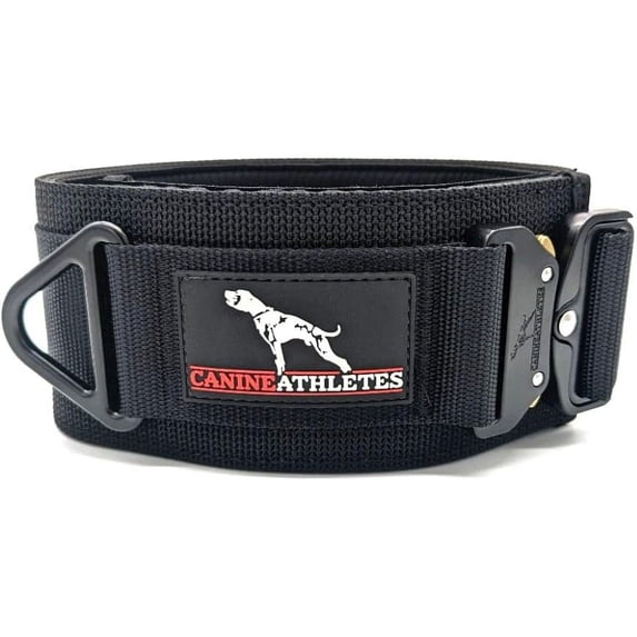 3" Venator Neoprene Padded Working Dog Collar, Extra Wide, Strong ...