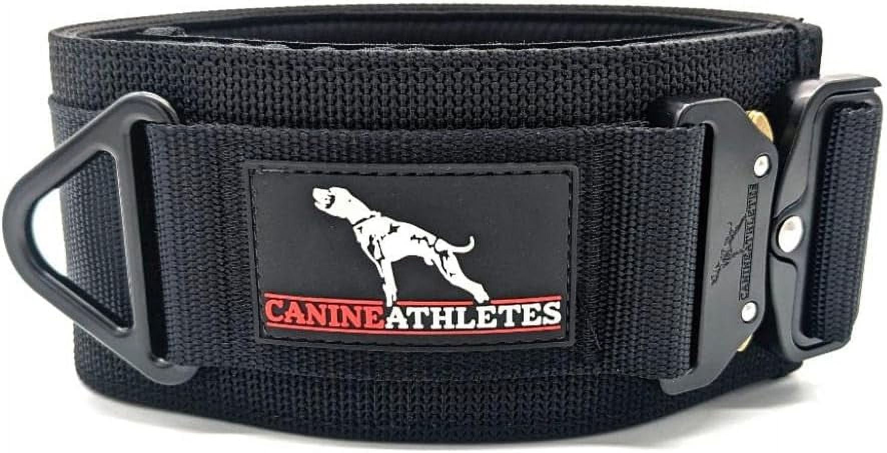 3" Venator Neoprene Padded Working Dog Collar, Extra Wide, Strong ...