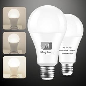 3 Way LED Light Bulbs