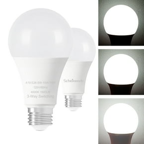 3 Way LED Light Bulbs