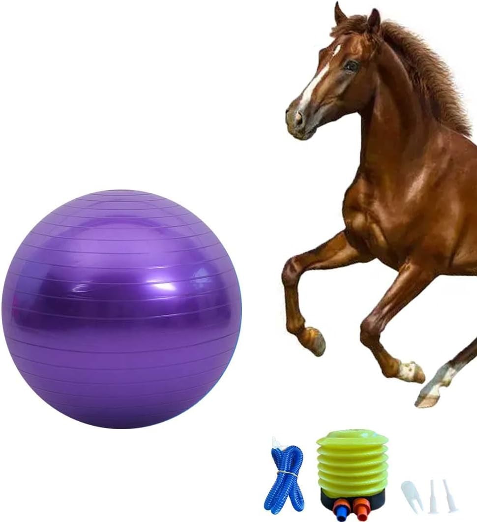 Horse Ball Training Toy, Anti-Burst Horse Exercise Ball Toy with ...