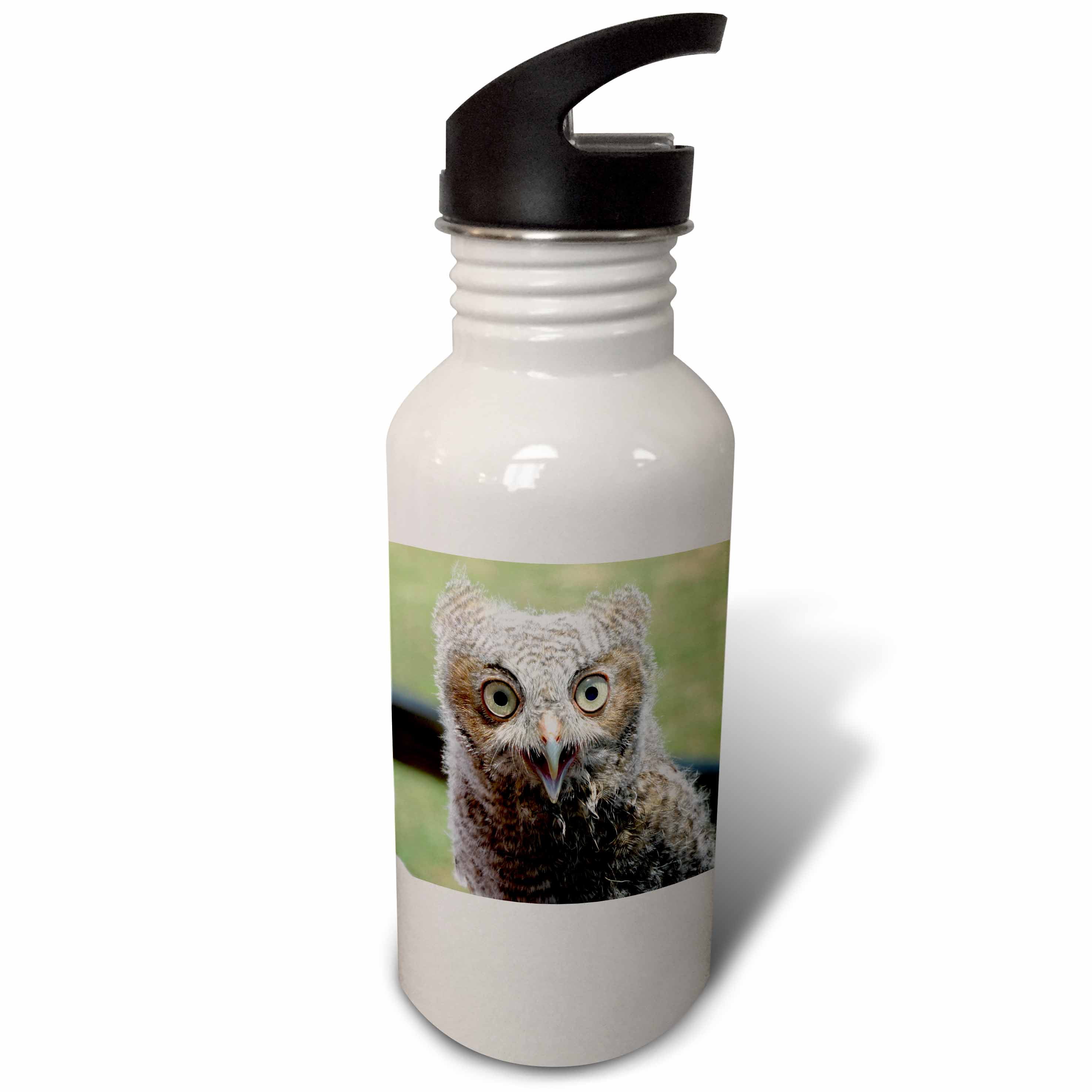 3 day old baby owl 21 oz Sports Water Bottle wb-21066-1 - Walmart.com