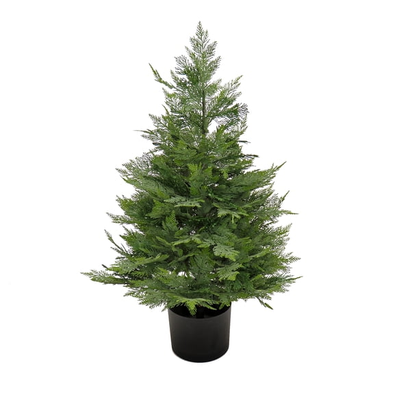 Cypress Christmas Tree