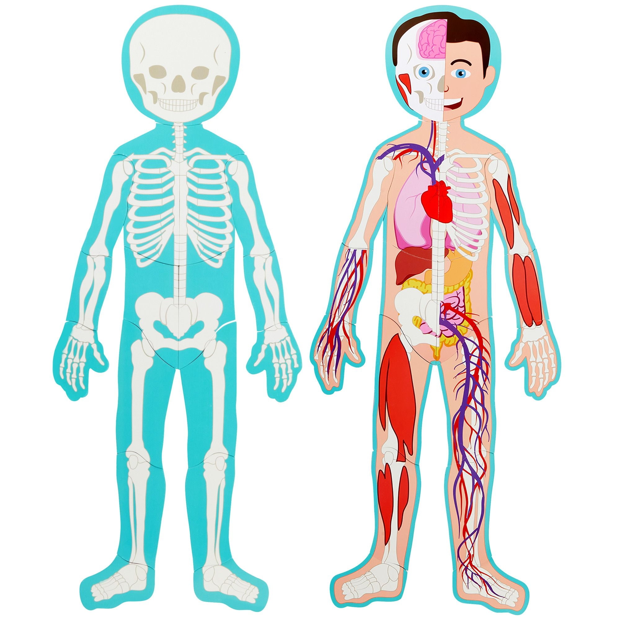 Human Body Puzzle: Anatomy Learning Toy for Preschool Kids - Walmart ...