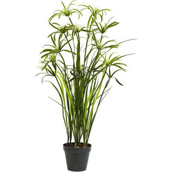3 ft. Papyrus Silk Plant - Walmart.com