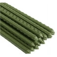 3ft Steel Garden Stakes - Plastic Coated, Anti-Rust for Climbing Plants ...